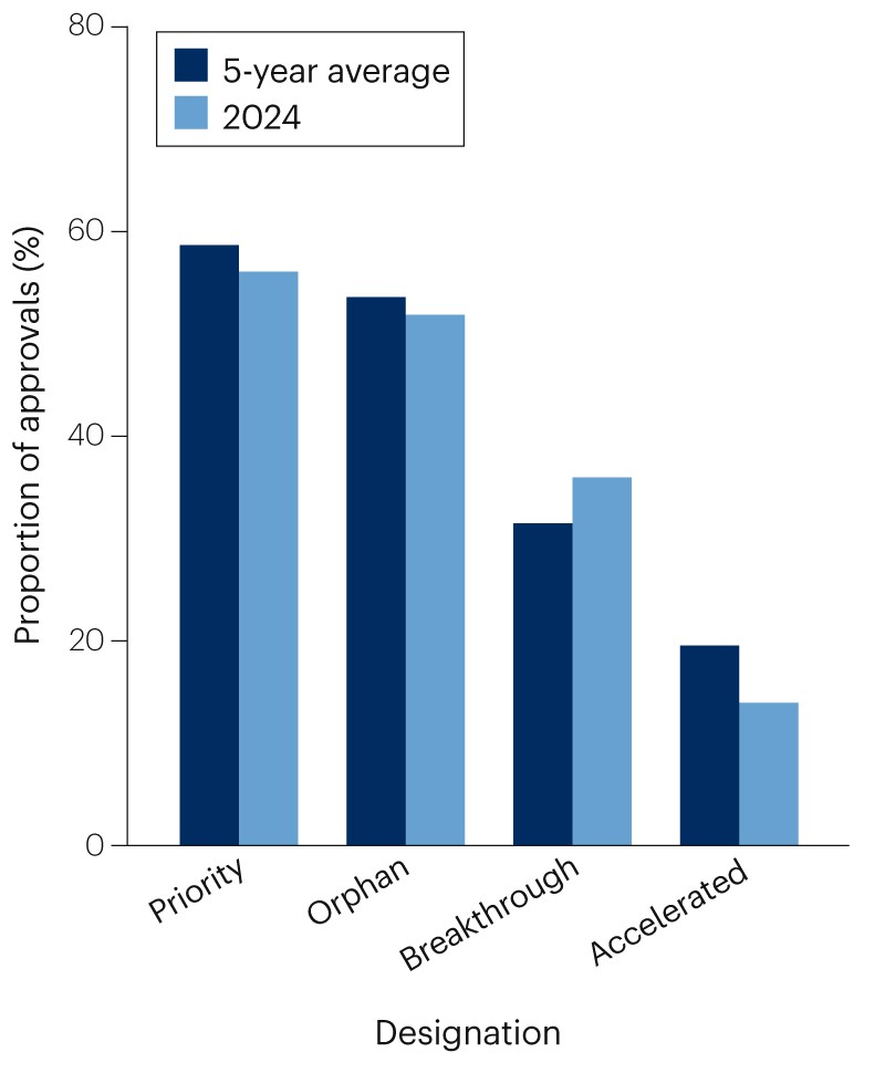 Fda Matpyramide 2024