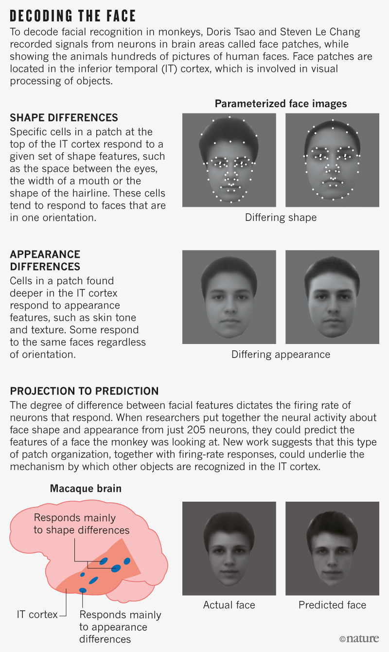 What Animals Can Recognize Human Faces