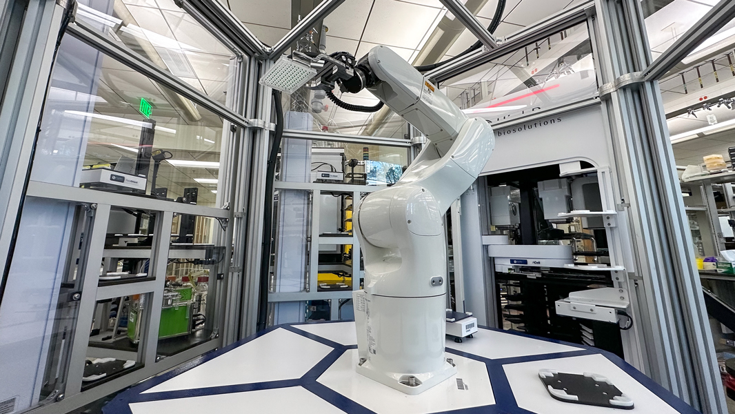 Speed Drug Before And After