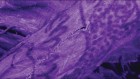 Intricate origins of ice mummy’s ink revealed